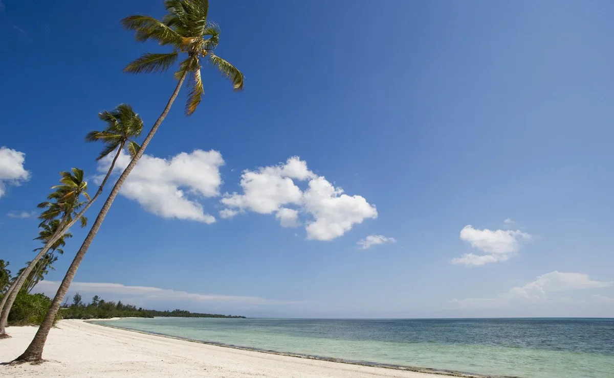 Knotty knotty zooskool